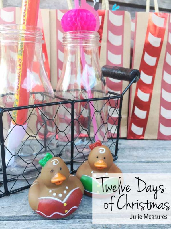 12 Days of Christmas Secret Santa - Julie Measures