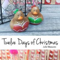 12 Days of Christmas Secret Santa - Julie Measures