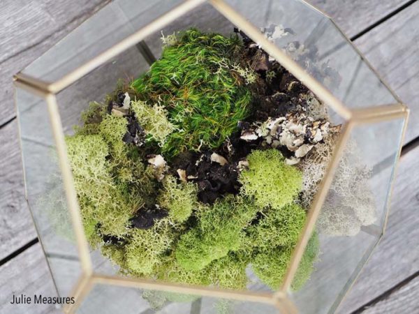 Spring Bunny Terrarium Centerpiece - Julie Measures