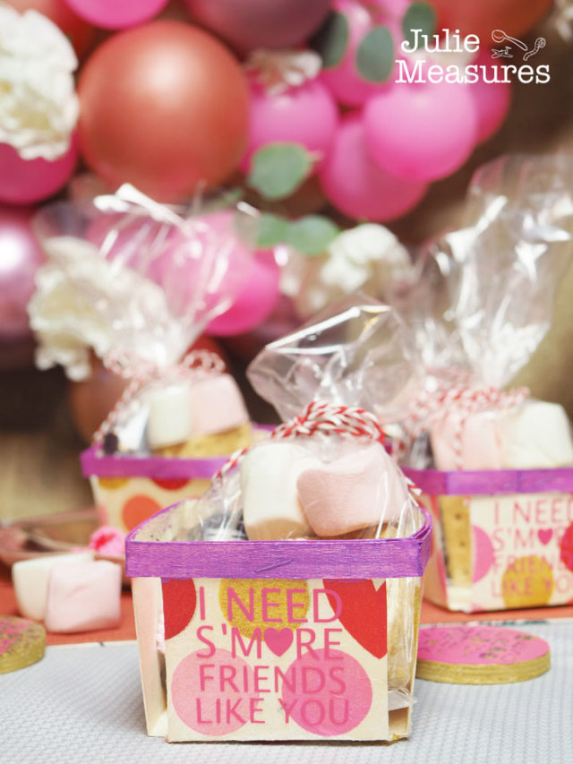 I Need S'more Friends Like You!" Sweet Valentine S'mores Gift Baskets