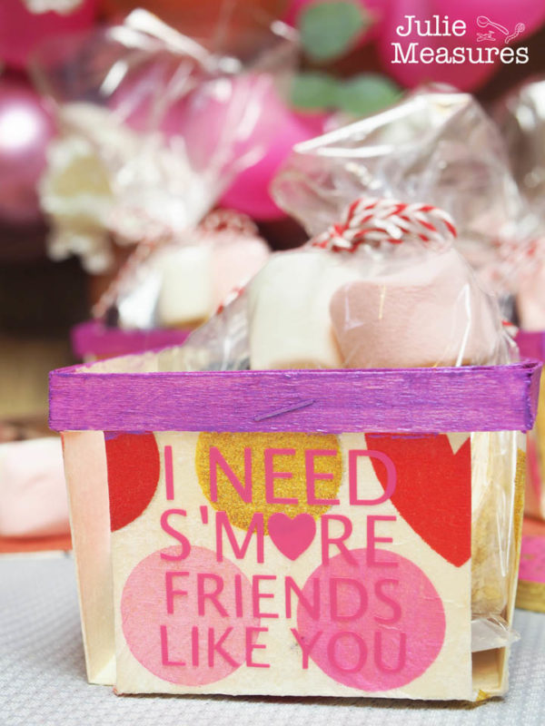 I Need S'more Friends Like You!" Sweet Valentine S'mores Gift Baskets