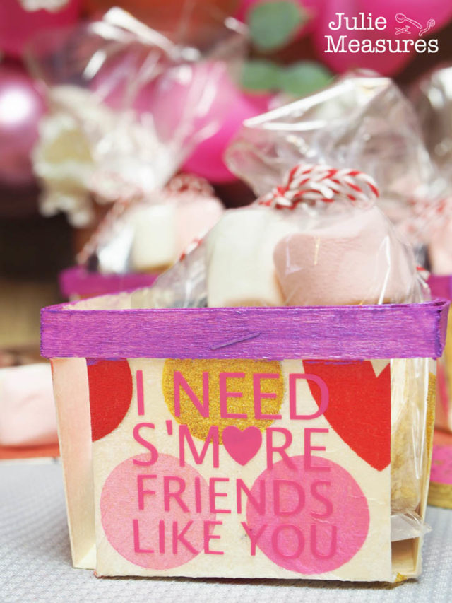 I Need S'more Friends Like You!" Sweet Valentine S'mores Gift Baskets