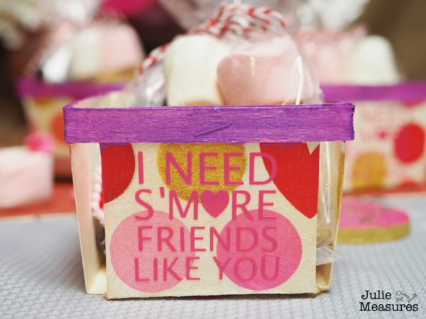 I Need S'more Friends Like You!" Sweet Valentine S'mores Gift Baskets