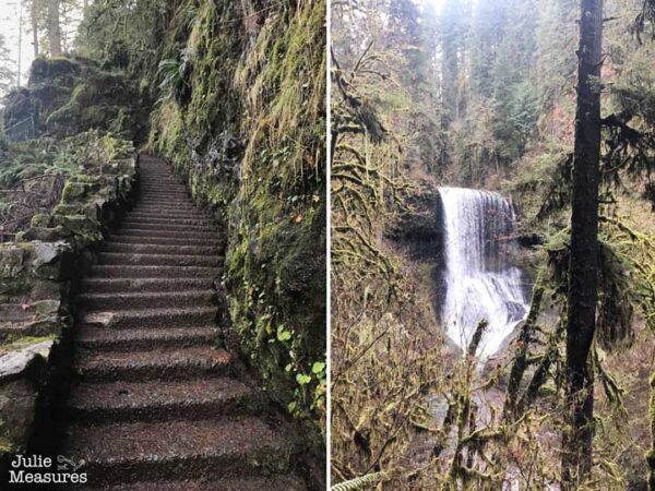 Best Hikes in Portland for Tourists - Julie Measures