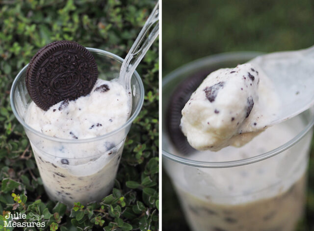 Ice Cream in a Bag - How to Make Easy Homemade Ice Cream